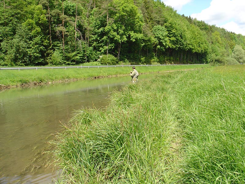 Chalk streams of Germany
